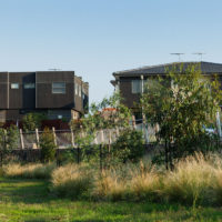 Canopi Lae Street - Urban Initiatives