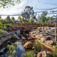 Rainforest Entry Lemur Exhibit - Urban Initiatives