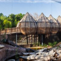 Rainforest Entry Lemur Exhibit - Urban Initiatives