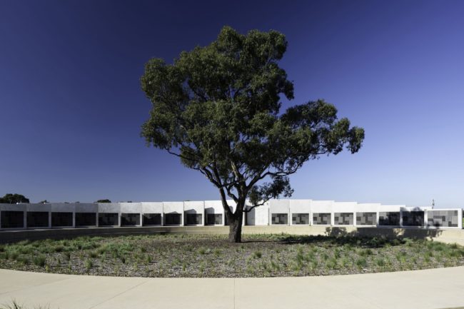 GMCT River Red Gum Precinct | Urban Initiatives